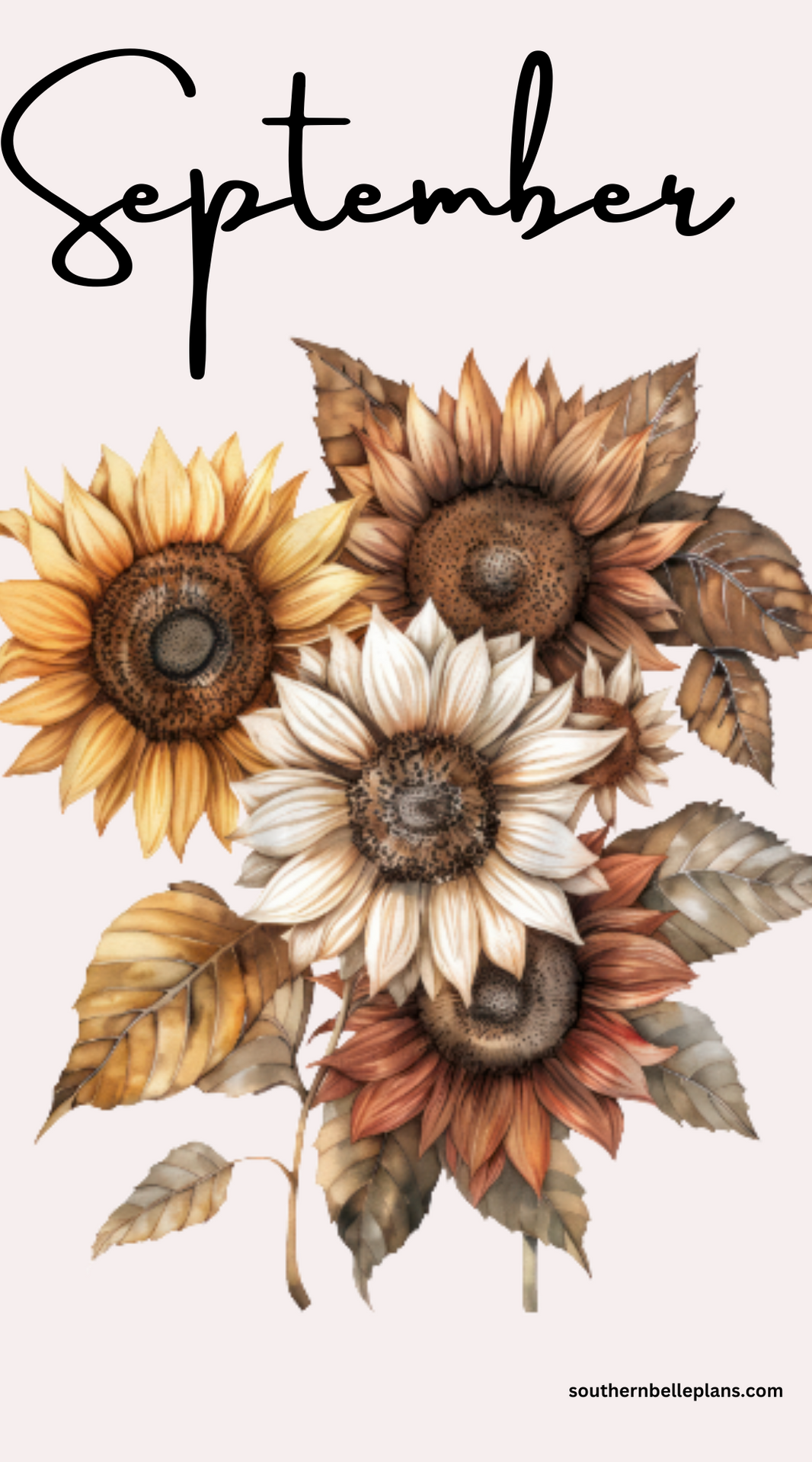 Freebies – Southern Belle Plans